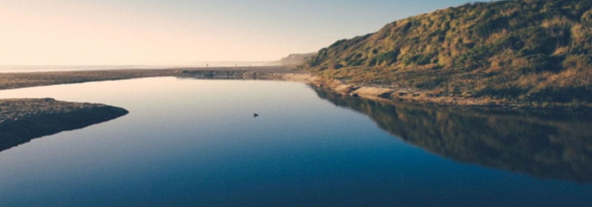 Soundsnap | Premium and Free Sound Effects - SFX Downloads