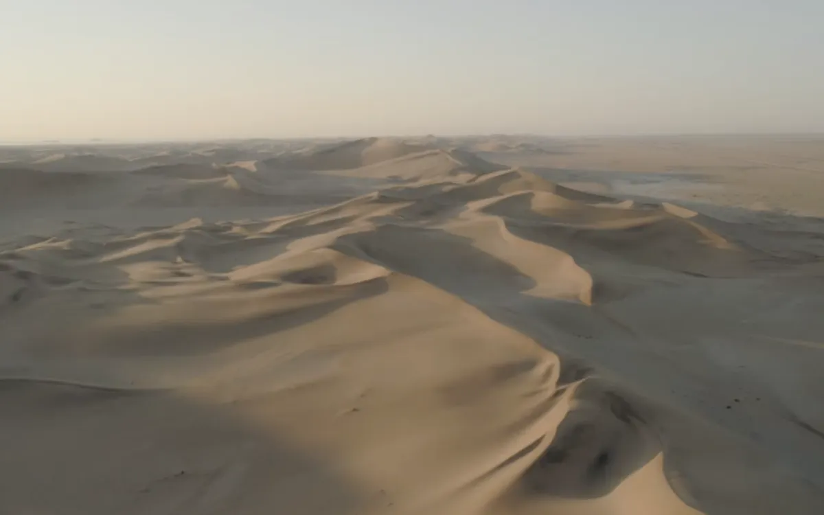 Soundsnap | Premium and Free Sound Effects - SFX Downloads