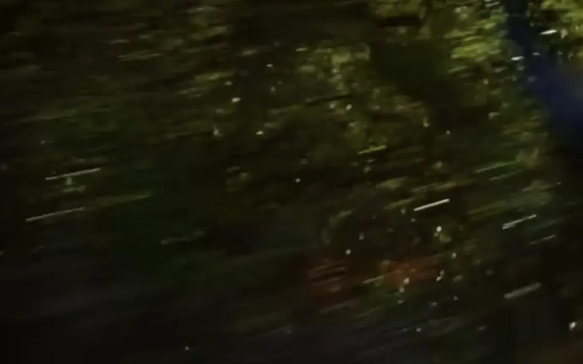 Soundsnap | Premium and Free Sound Effects - SFX Downloads